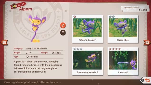 New Pokémon Snap | Official Website | Create Your Own Photodex