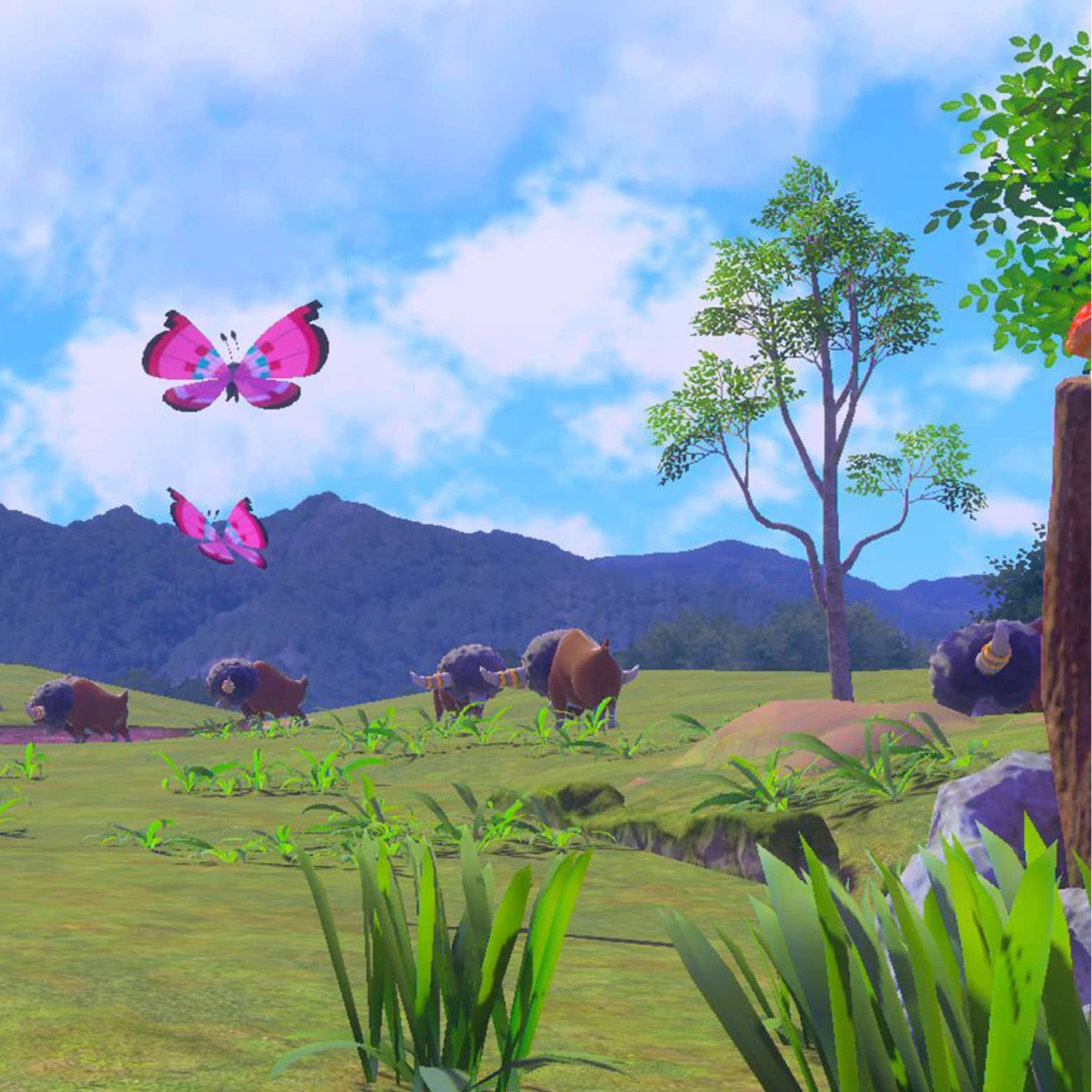 New Pokémon Snap | Official Website