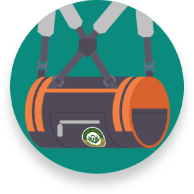 New Pokémon Snap | Official Website | Edit & Share Your Photos